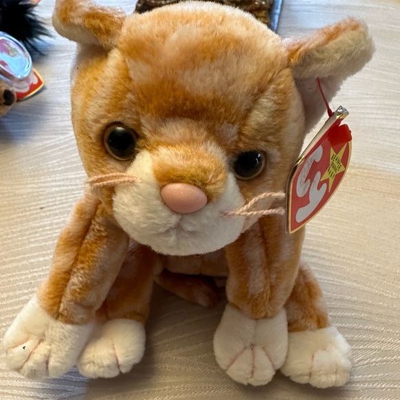 Beanie Babies | Toys | 999 Ty Beanie Baby Rare Retired Ty Amber The ...